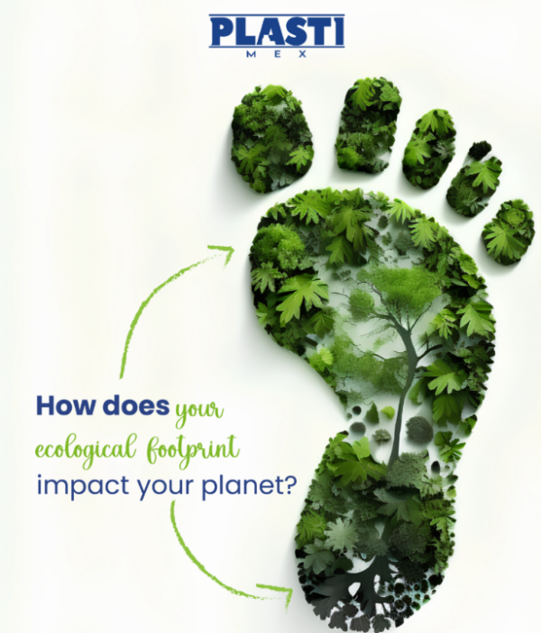 Download our whitepaper "How does your ecological footprint impact your ...